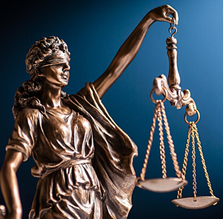 Anwita Gudivada | Polygence