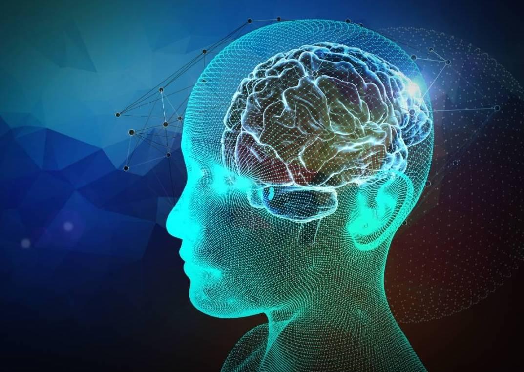 Online High School Research Project Spotlight | Polygence